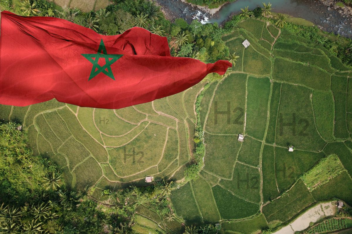 Green hydrogen projects in Morocco need land, government offers 1 ...